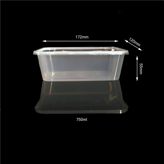 750ml disposable plastic take out bento box - Buy Product on Quanzhou ...